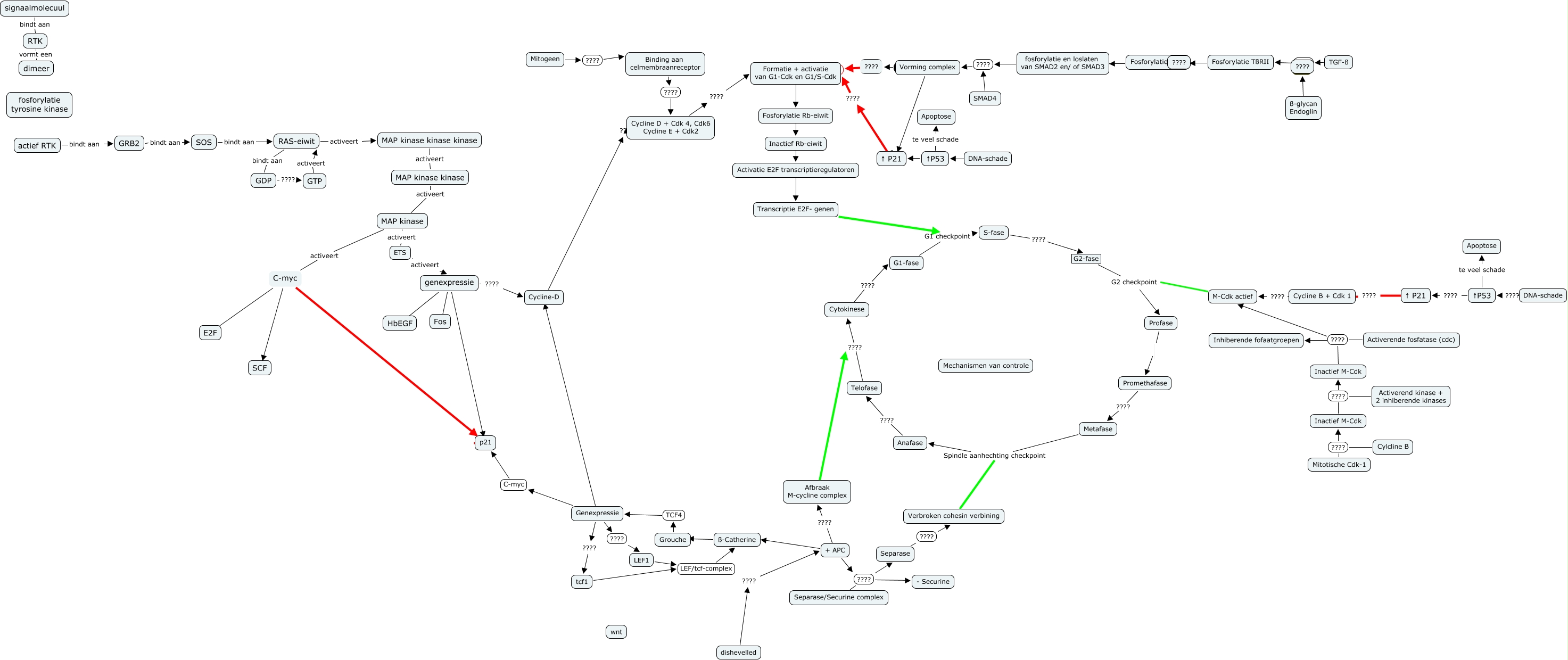 eerste versie conceptmap